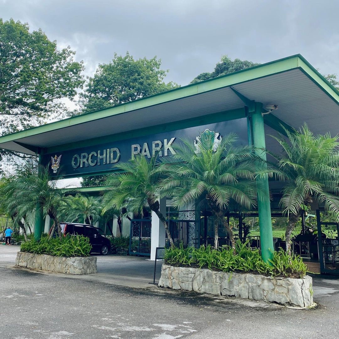 Kuching Division 2023 Top Things to Do - Kuching Division Travel Guides ...