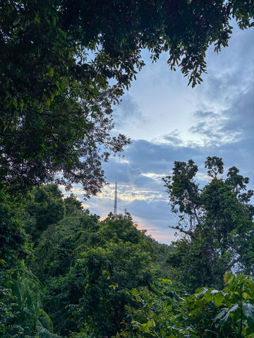 Sanya Phoenix Hill Park 🦋｜Trip.com 三亞