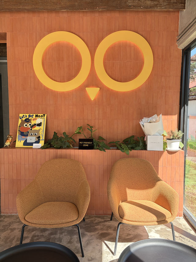 Hoot Hoot Coffee 🦉 | Trip.com นนทบุรี