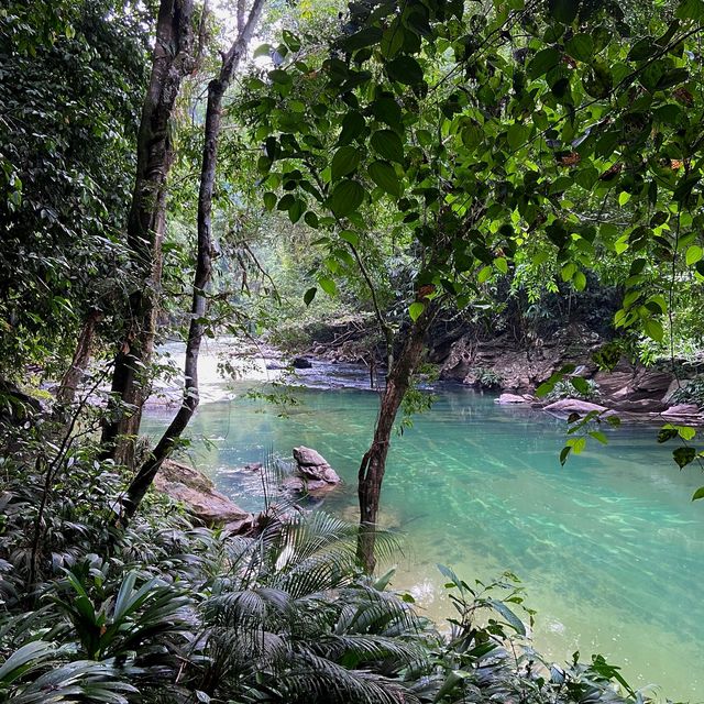 Rio Claro reserve | Trip.com Medellin