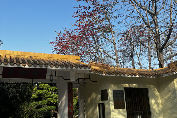 Spring Parks in Shenzhen | Trip.com Shenzhen
