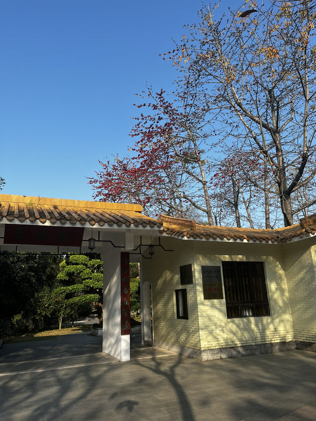 Spring Parks in Shenzhen | Trip.com Shenzhen