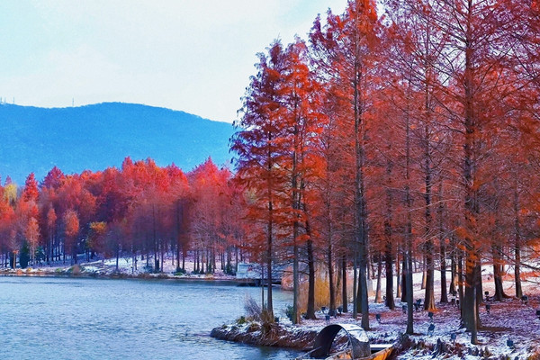 Nanjing's first snow| The Yanzi Lake after the snow is beautiful again ...