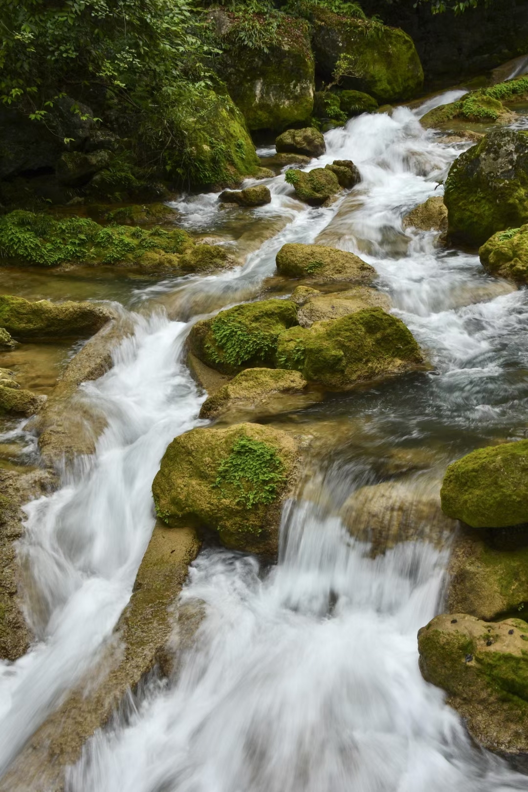 Libo Travel Guide 2024 - Things to Do, What To Eat & Tips | Trip.com