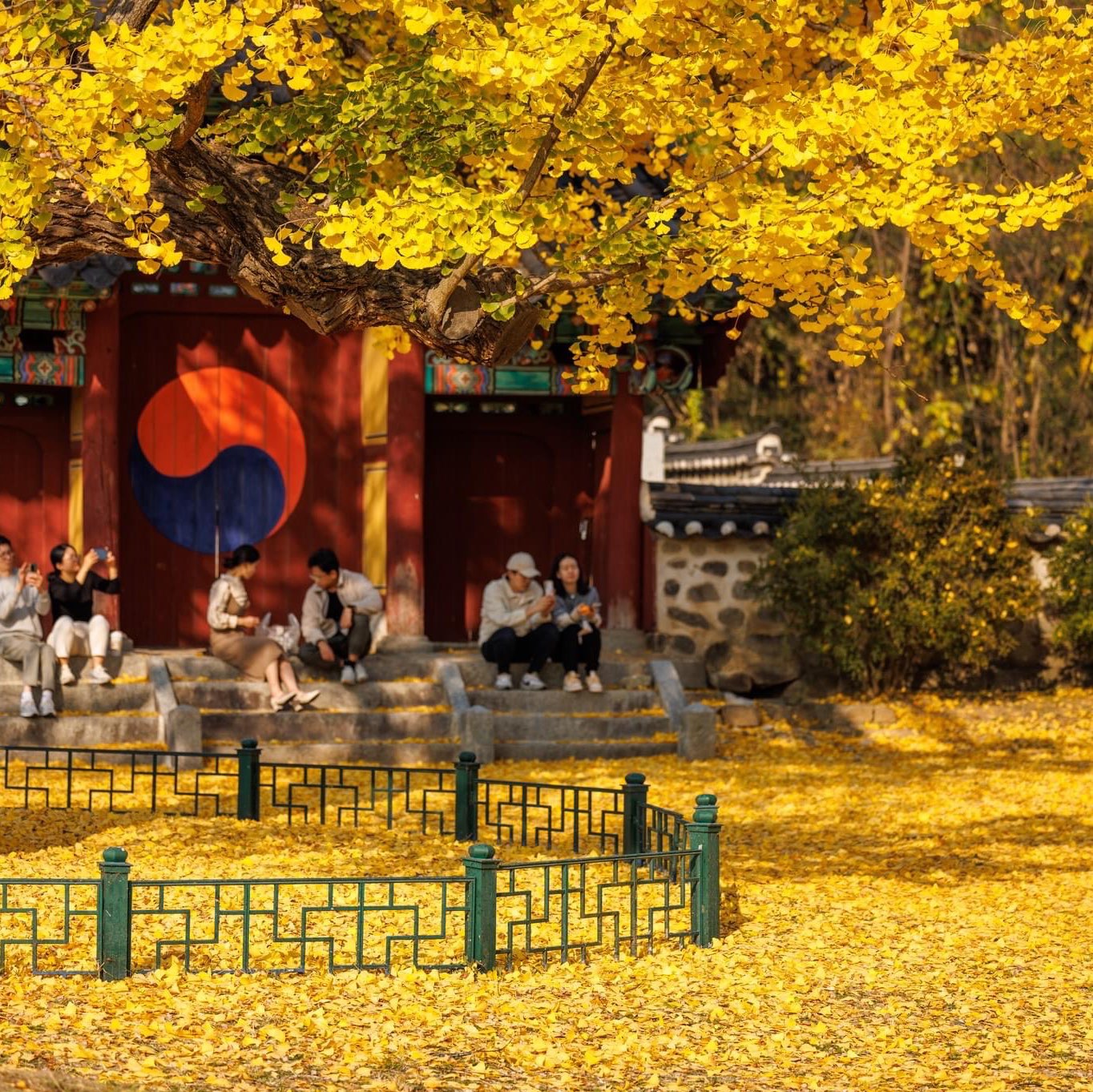 Sejong Travel Guide 2024 - Things to Do, What To Eat & Tips | Trip.com