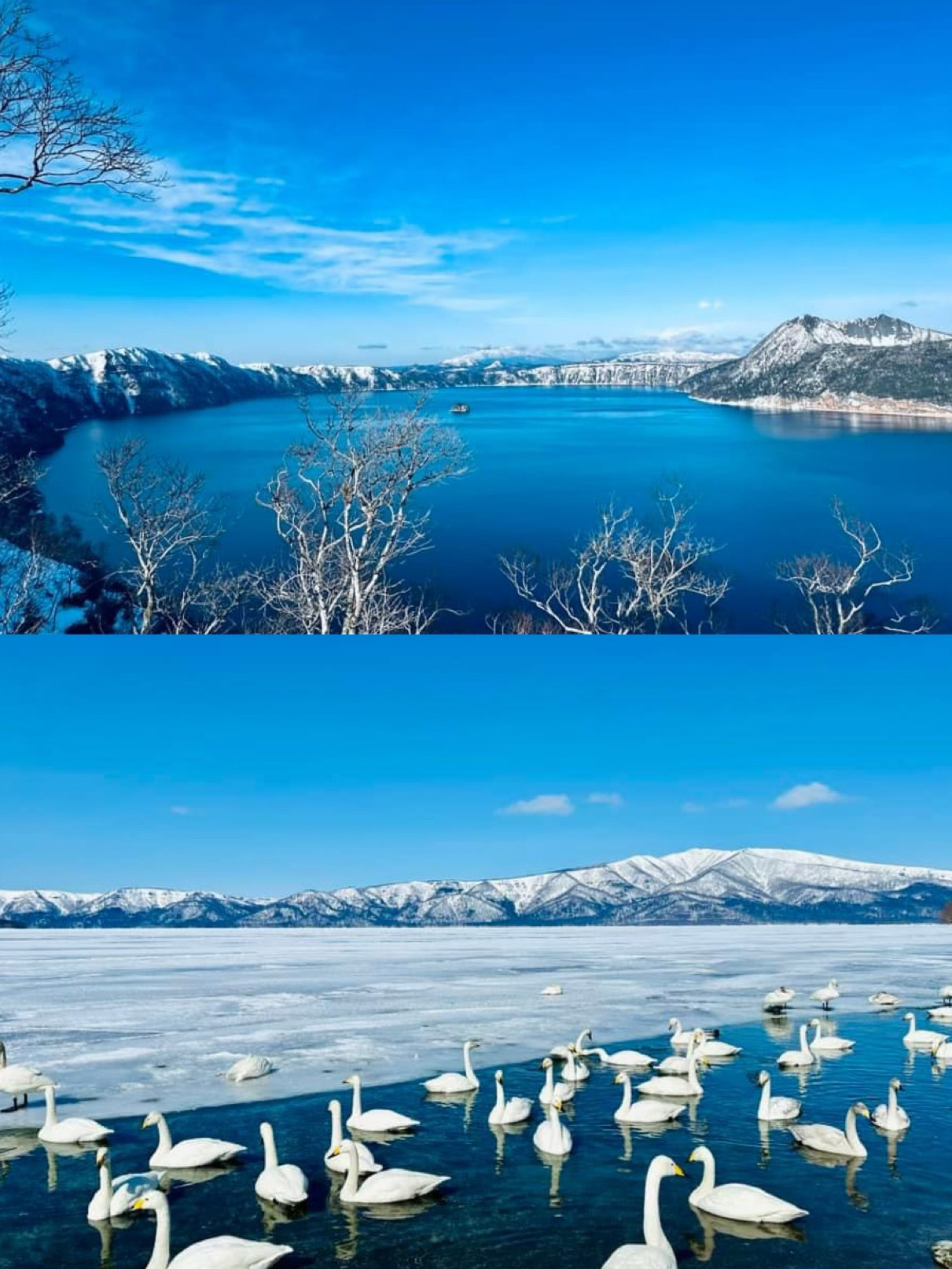 Things to Do in Obihiro in 2024 - Top Attractions, Local Food, Hotels ...