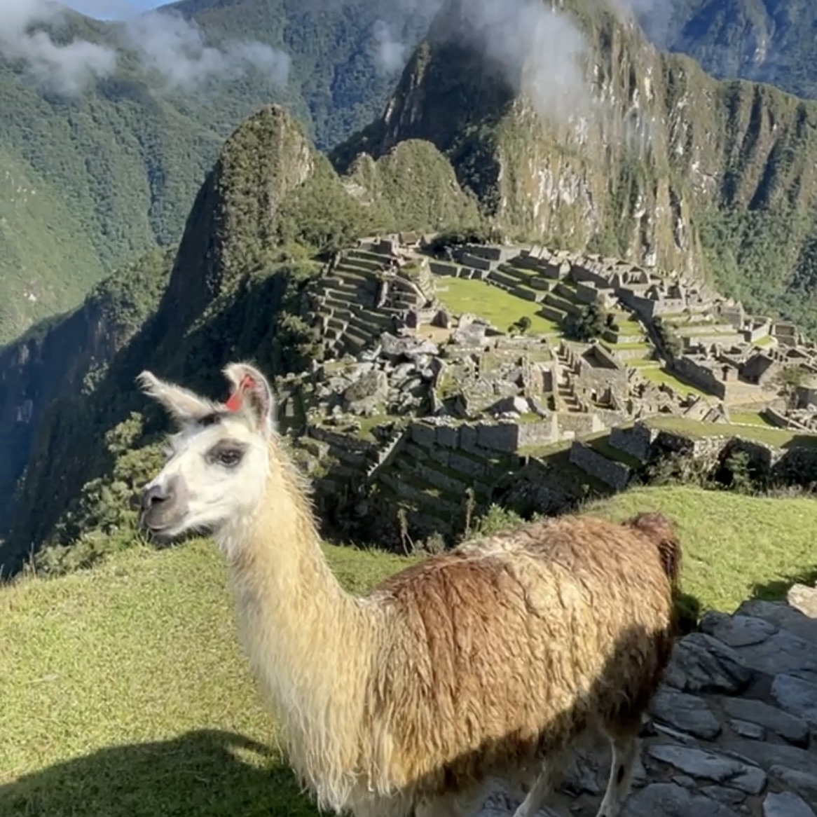 Urubamba Travel Guide 2024 - Things to Do, What To Eat & Tips | Trip.com