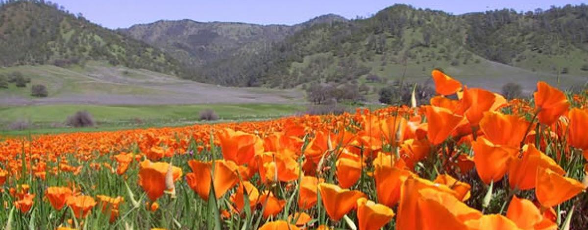 Things to Do in Shengzhou in 2024 - Top Attractions, Local Food, Hotels ...