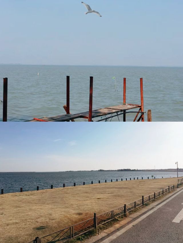 It's not Erhai, it's Dianshan Lake in Shanghai! | Trip.com Kunshan