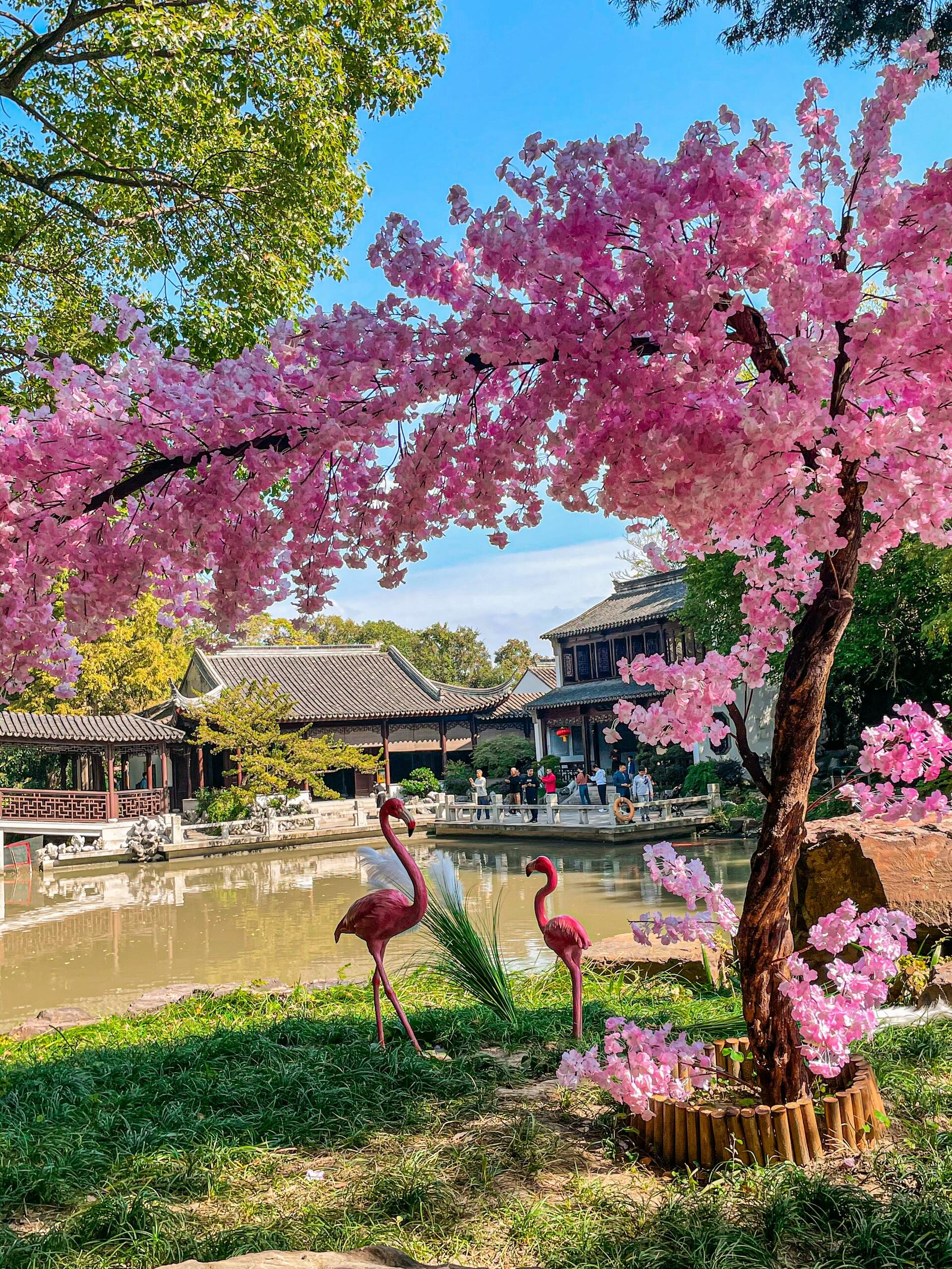 Things to Do in Nantong in 2025 - Top Attractions, Local Food, Hotels ...