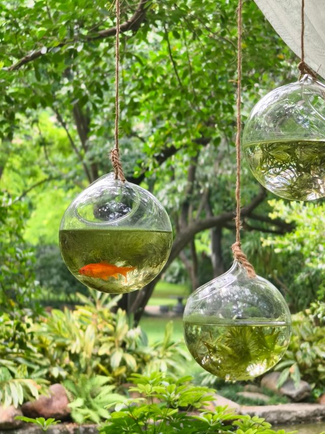 Nanning Jinhua Tea Park | Capture Jiangnan-style Masterpieces for Free ...