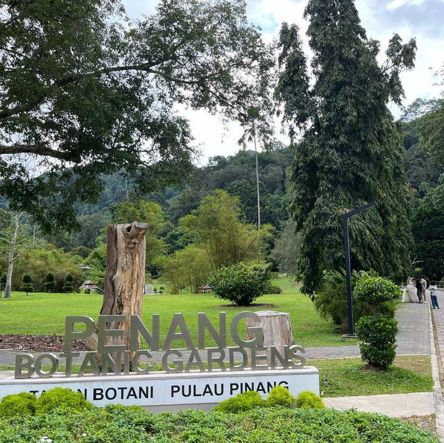 Penang Botanical Gardens | Trip.com Northeast Penang Island