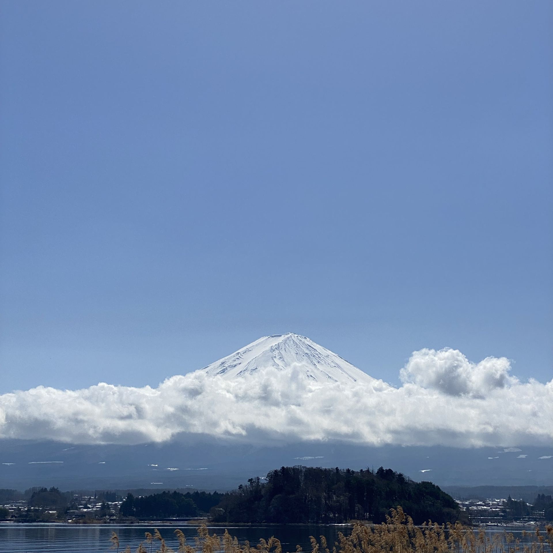 Fujinomiya Travel Guide 2024 - Things to Do, What To Eat & Tips | Trip.com