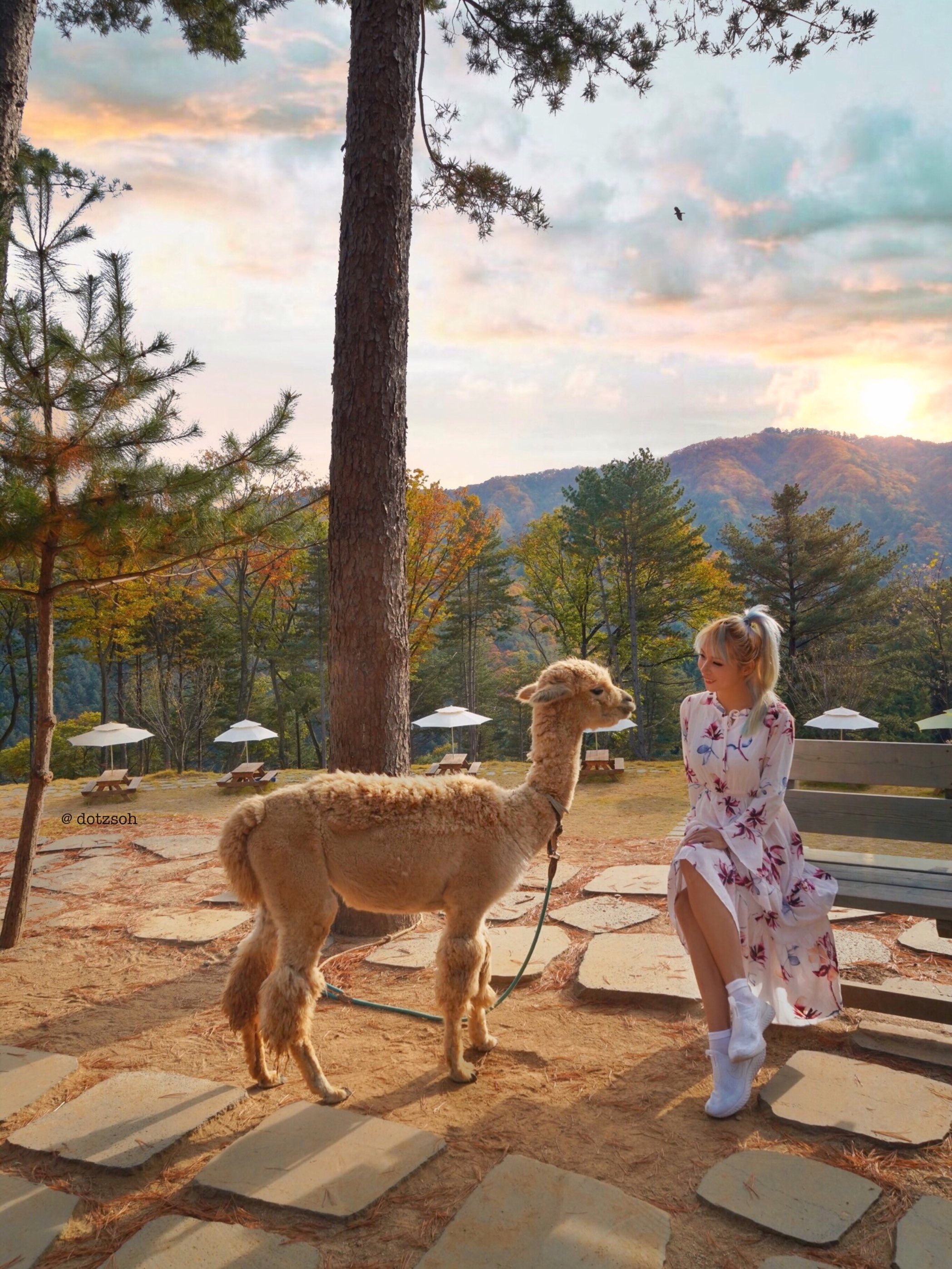 Things to Do in Hongcheon-gun in 2024 - Top Attractions, Local Food ...