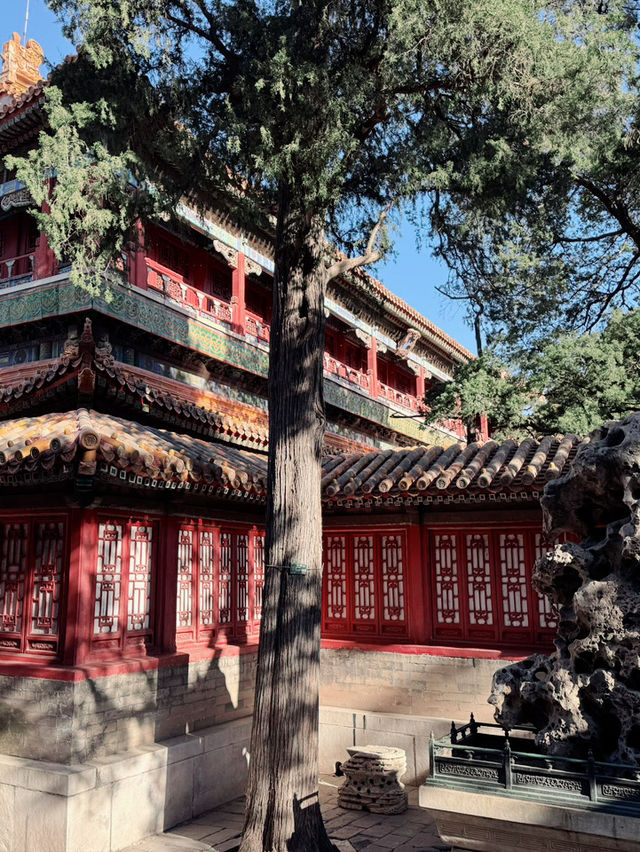 The palace museum: An eyes opening museum | Trip.com Beijing