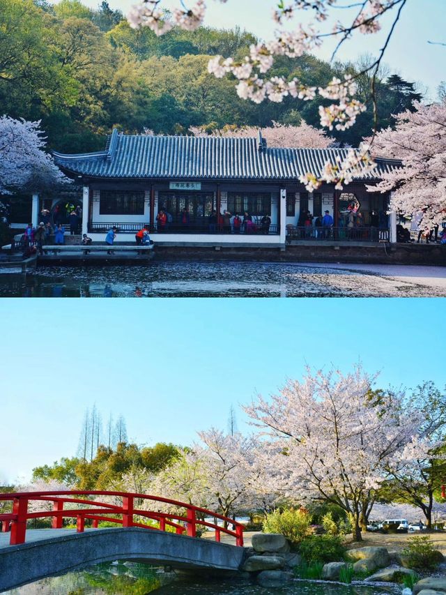 Wuxi Native's Super Comprehensive Guide to Yuantouzhu Scenic Area ...