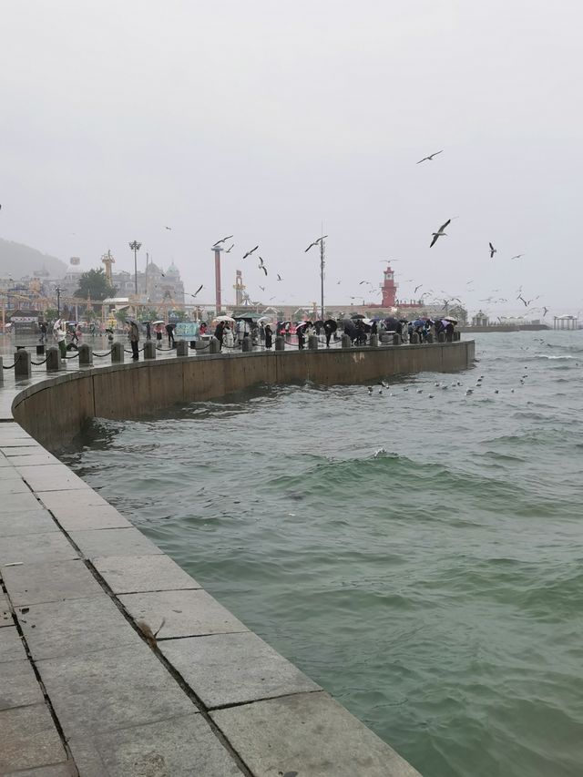 [Dalian City, Liaoning Province] Xinghai Square. | Trip.com Dalian