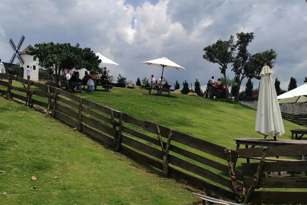 Mongo Land Dalat in a beautiful sunny day | Trip.com Dalat