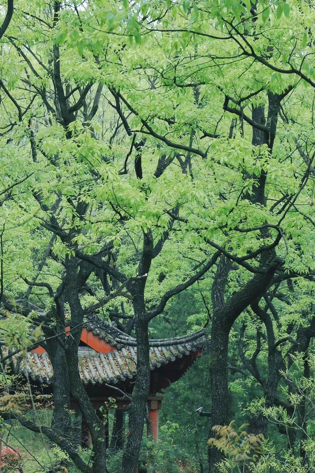 Things to Do in Hanzhong in 2024 - Top Attractions, Local Food, Hotels ...