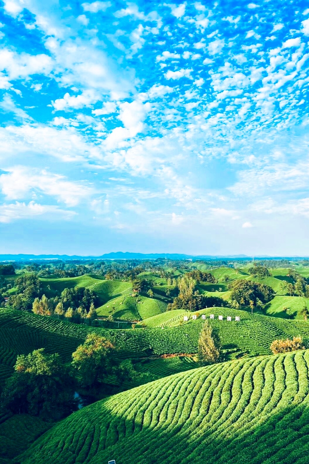 Things to Do in Xinyang in 2025 - Top Attractions, Local Food, Hotels ...