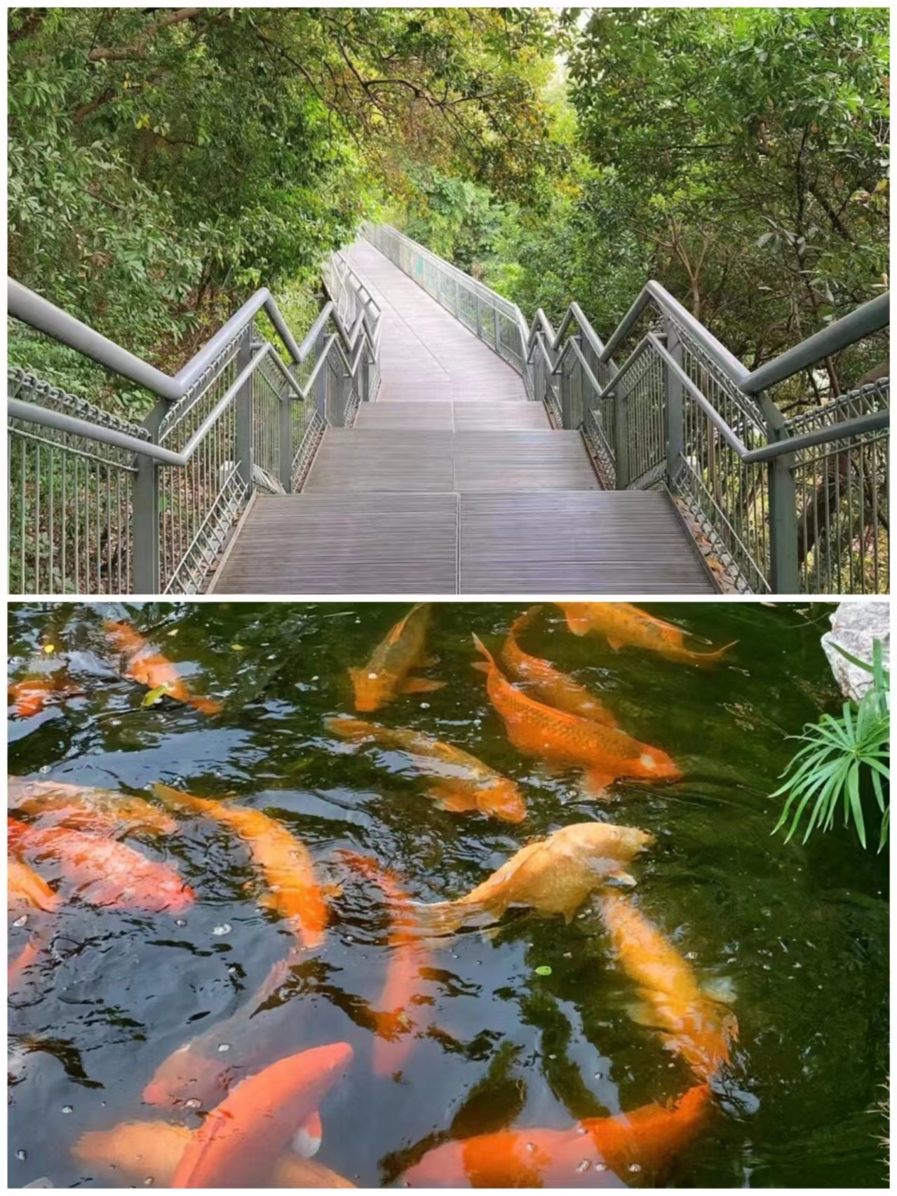 Things to Do in Shunde District in 2024 - Top Attractions, Local Food ...