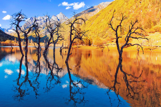 Autumn is the most beautiful season at Mount Siguniang | Trip.com Xiaojin