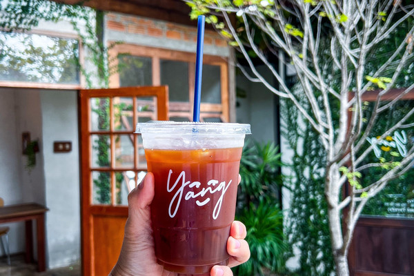 YANG cafe' 🌳 | Trip.com เชียงใหม่