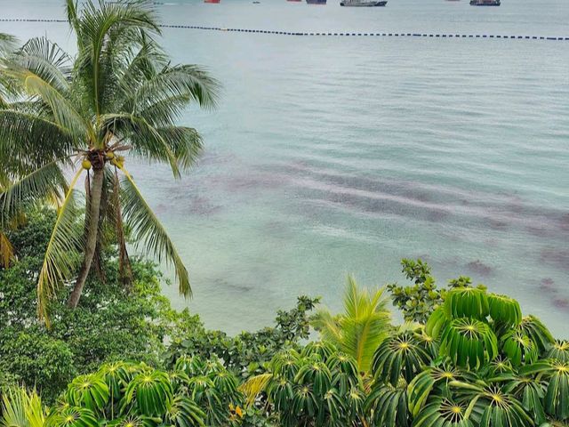 📍 The Ultimate Guide to Palawan Beach: Exploring the Southernmost Point ...