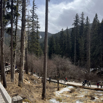 อุทยานโหมวหนีโกว (Munigou Valley) ประเทศจีน🇨🇳 | Trip.com Munigou Scenic ...