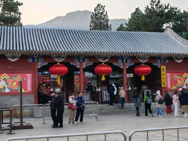 Fragrant Hills Park: Beijing’s Premier Destination for Autumn Foliage ...