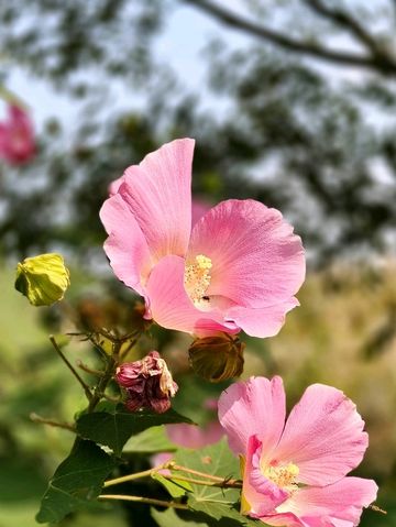 A Walk Into the Dawn of Chinese Civilization｜Trip.com 杭州