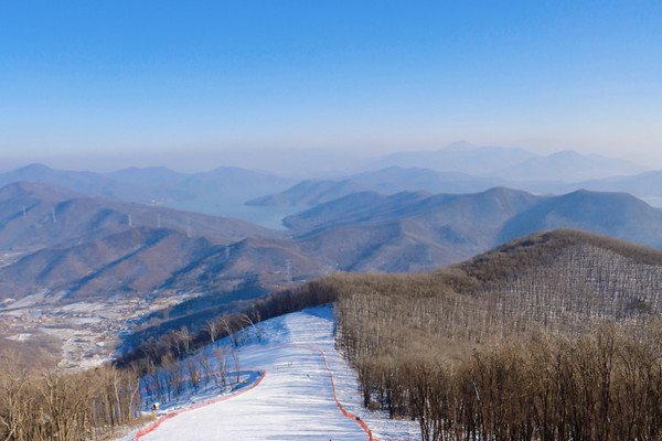 Northeast Skiing | This must be the ice and snow forest in fairy tales ...