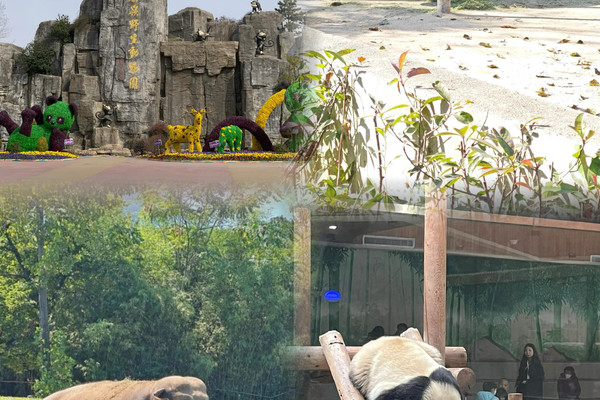 The Qinling Wildlife Park is an excellent place to take kids for a walk ...