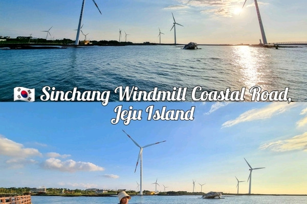 🇰🇷 Sinchang Windmill Coastal Road, Jeju Island | Trip.com Jeju