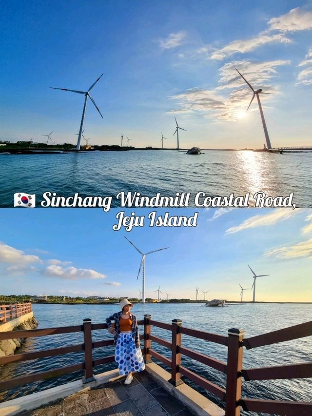 🇰🇷 Sinchang Windmill Coastal Road, Jeju Island | Trip.com Jeju