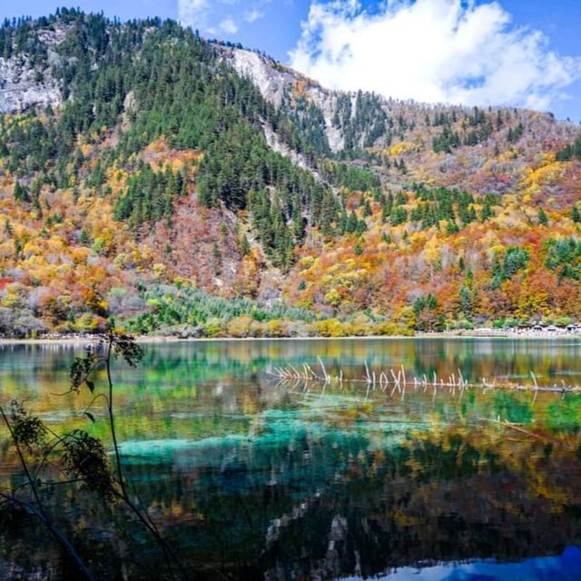 Five Flower Lake | Trip.com จิ่วจ้ายโกว