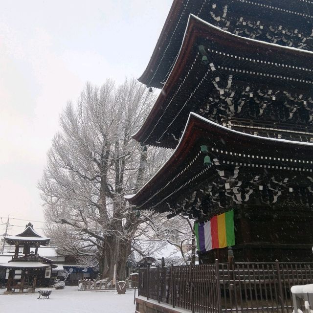 New Year’s Snow 2026 in Takayama, Japan. | Trip.com Takayama City