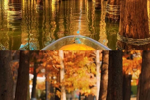 Kunming - Haihong Wetland Park | Trip.com Kunming