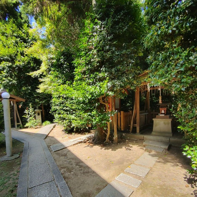 京都三珍鳥居 三柱鳥居がある 木嶋坐天照御魂神社(蚕ノ社 京都三珍鳥居 三柱鳥居がある 木嶋坐天照御魂神社(蚕ノ社