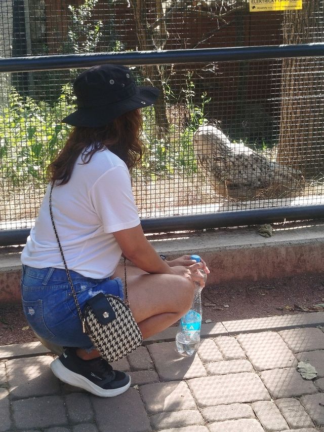 🦚Excursion done right at Brno Zoo | Trip.com Brno