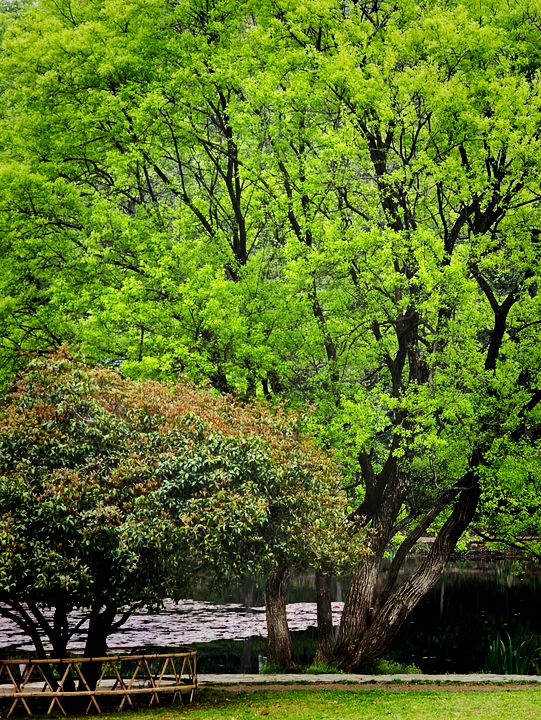 Step Back in Time: Nanjing’s Rich Heritage | Trip.com Nanjing