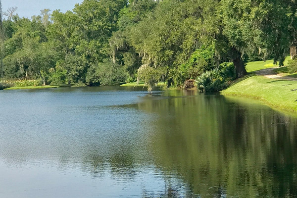 Exploring South Carolina's Historic Jewel | Trip.com Charleston