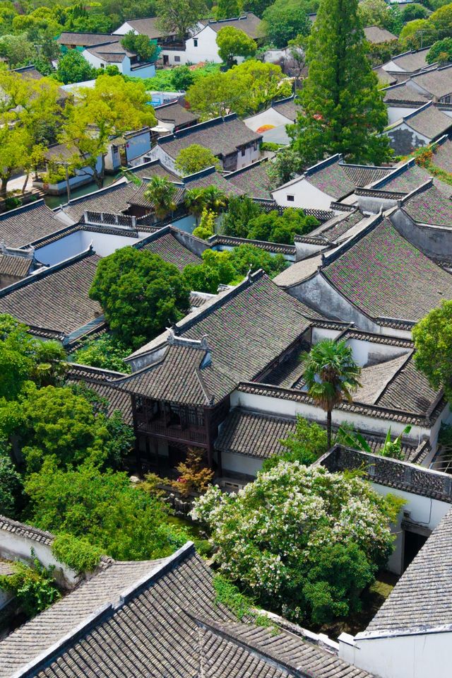 首次遊玩平湖必看完整版一日遊路線直接抄功課｜Trip.com 平湖