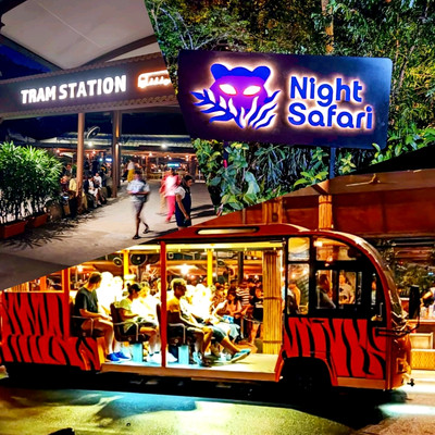 Night Safari Singapore Tram