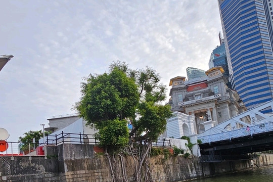 Singapore Boat Trip #singapore | Trip.com Singapore