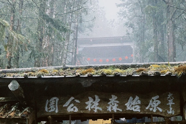 Exploring Tai Ping Shan: Taiwan’s Hidden Outdoor Adventure Paradise ...