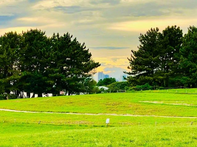 Kasai Rinkai Park – Tokyo’s Coastal Nature Escape | Trip.com Tokyo