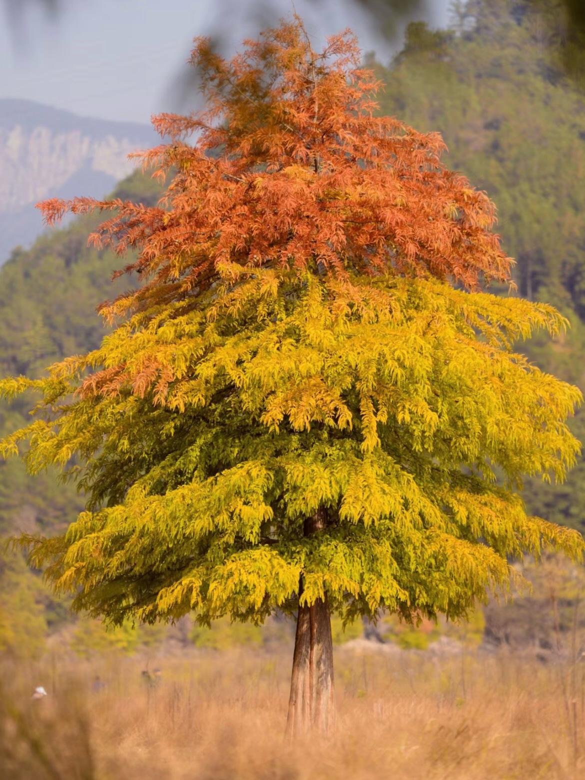 Things to Do in Yuyao in 2024 - Top Attractions, Local Food, Hotels ...