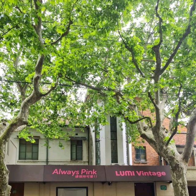 Anfu Road, Shanghai | Trip.com เซี่ยงไฮ้