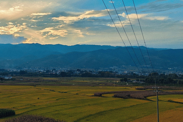 Shaxi: The paddy field on the way to the Half Mountain Coffee is so ...